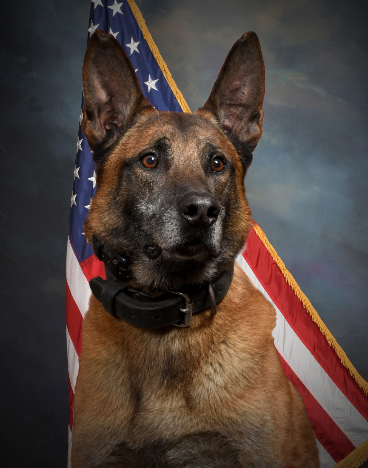 K-9 Unit – Kingsport, TN
