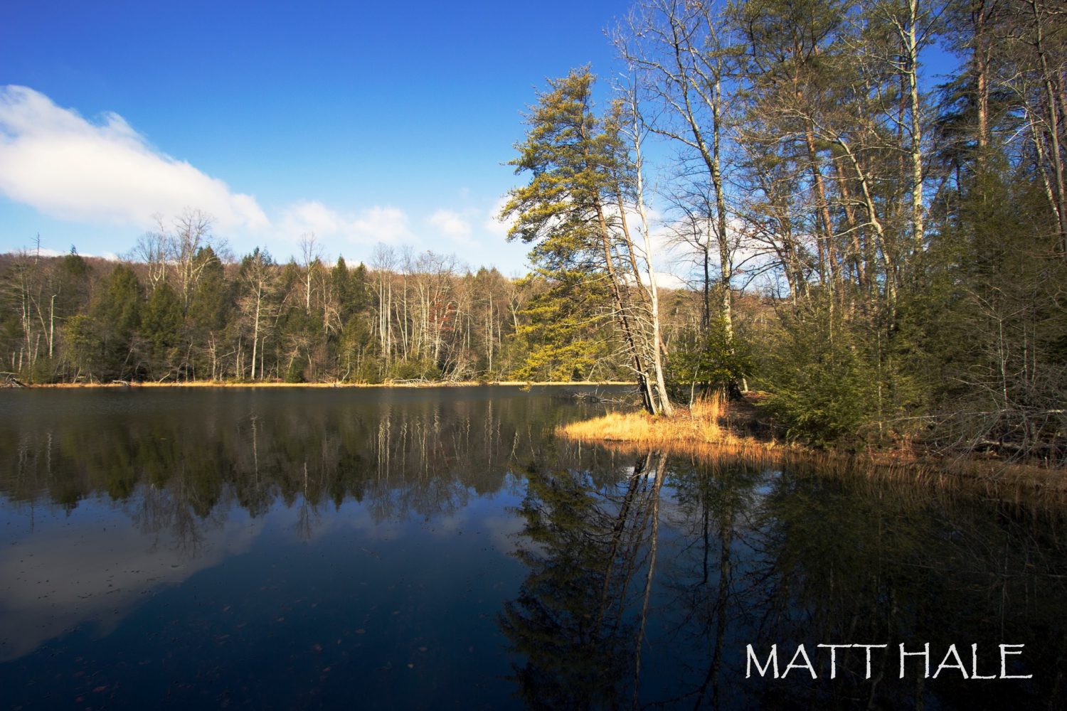 bays-mountain – Kingsport, TN